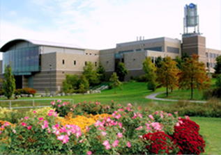 NC among Canada's top environmental organizations - Niagara College ...